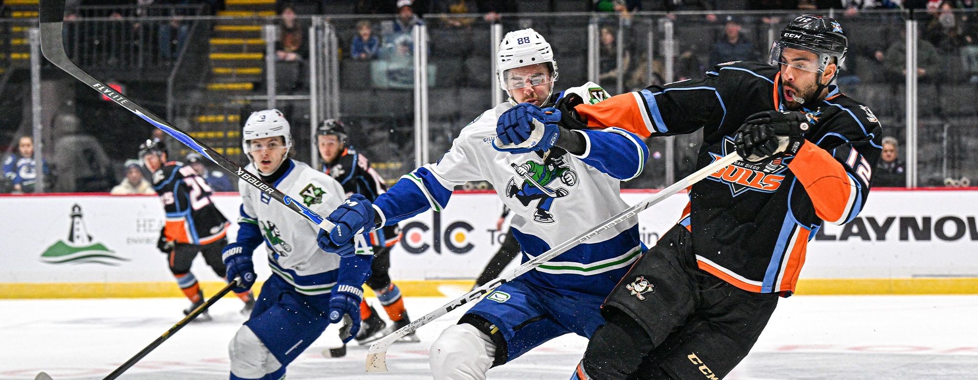 News | Abbotsford Canucks